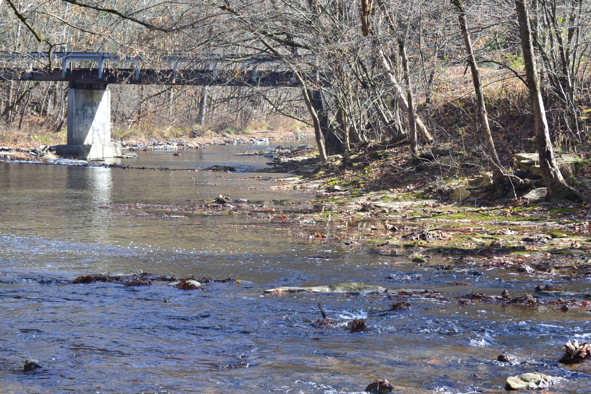 Photos | River Forge RV Park and Campground
